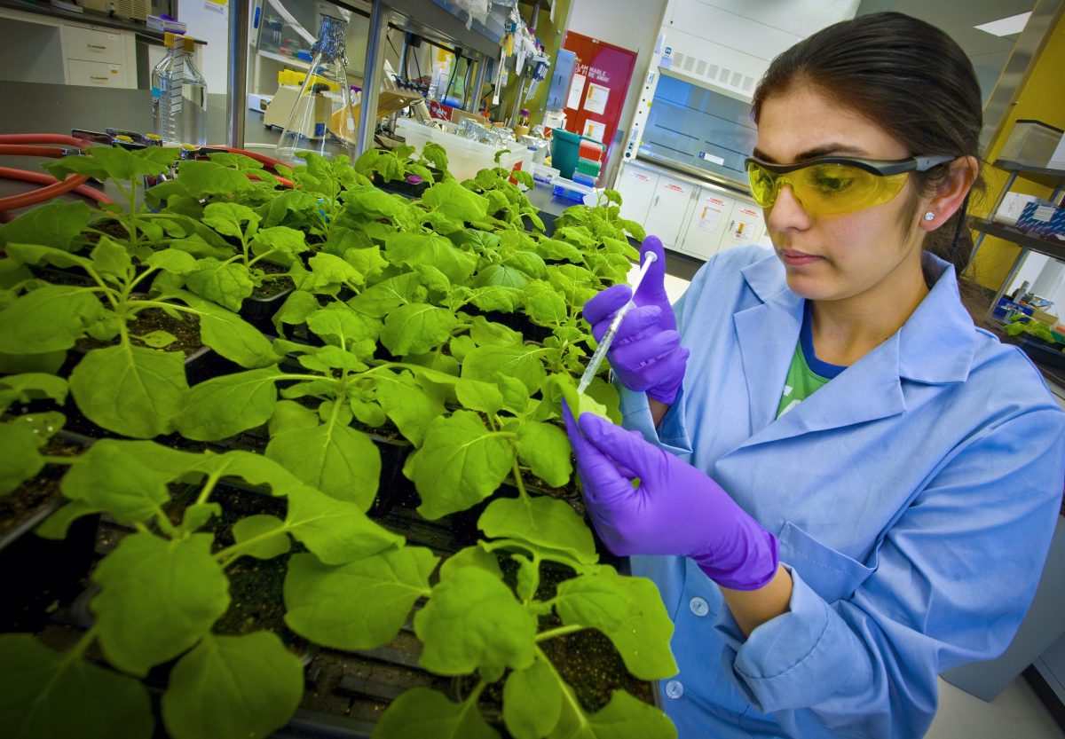 Meet Our Employees - The National LaboratoriesThe National Laboratories